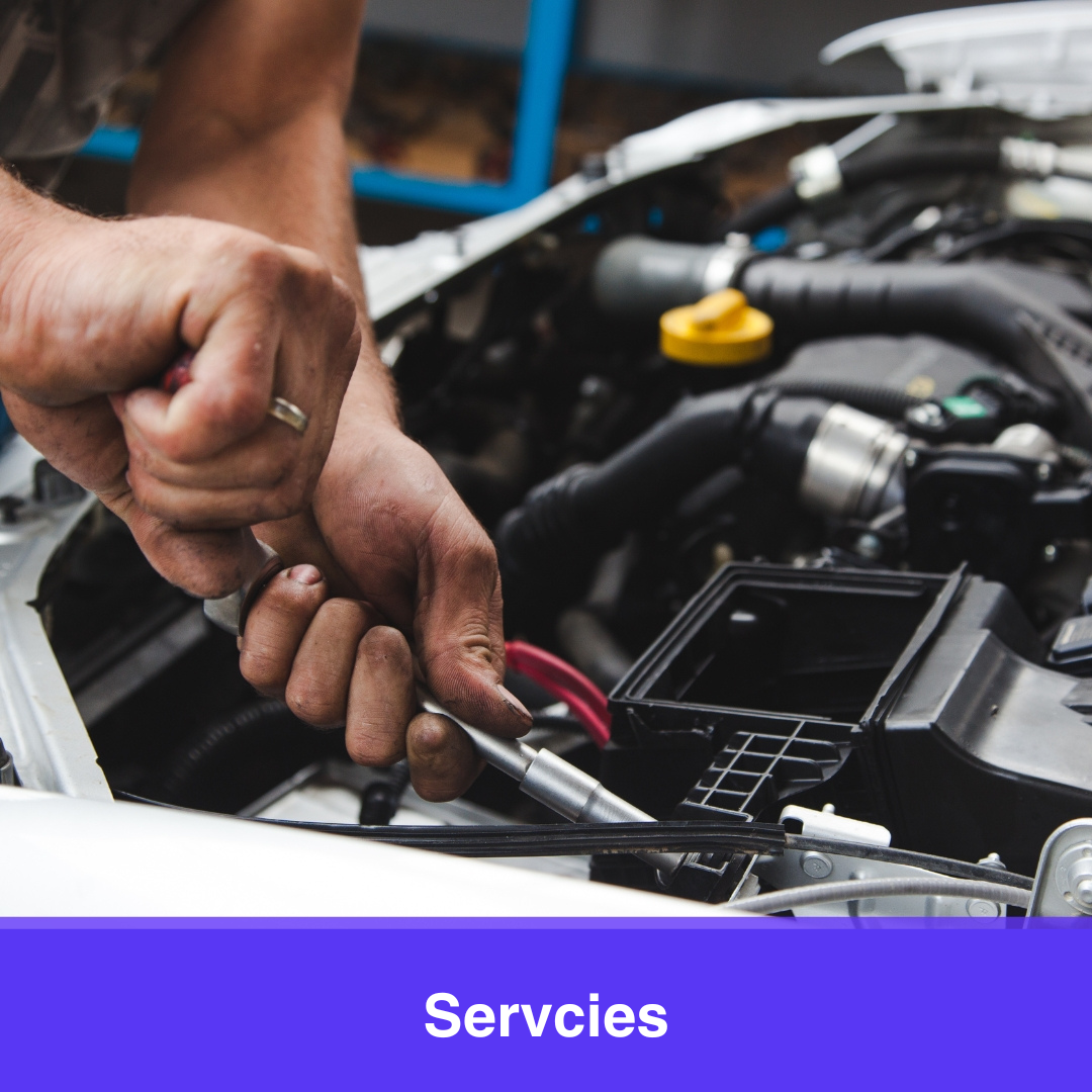 Places to Eat - Go Local